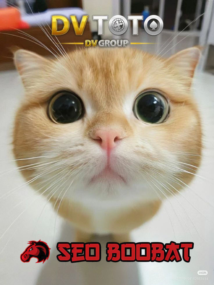 DVTOTO ️ Bandar Toto Togel Online Dan Situs Togel 4D Resmi Terpercaya ...